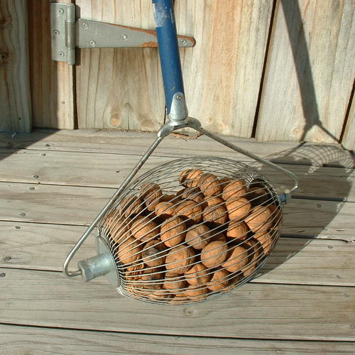 Lourdan Grove - Nut Harvester and Hand Cranked Nutcracker